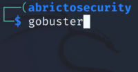 Gobuster Directory Enumerator Cheat Sheet - Abricto Security