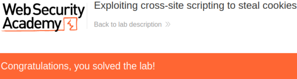 Exploiting Cross Site Scripting Xss Vulnerabilities To Steal Cookies Abricto Security